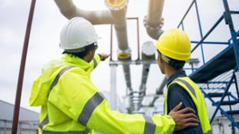 custom – Texas Sampling